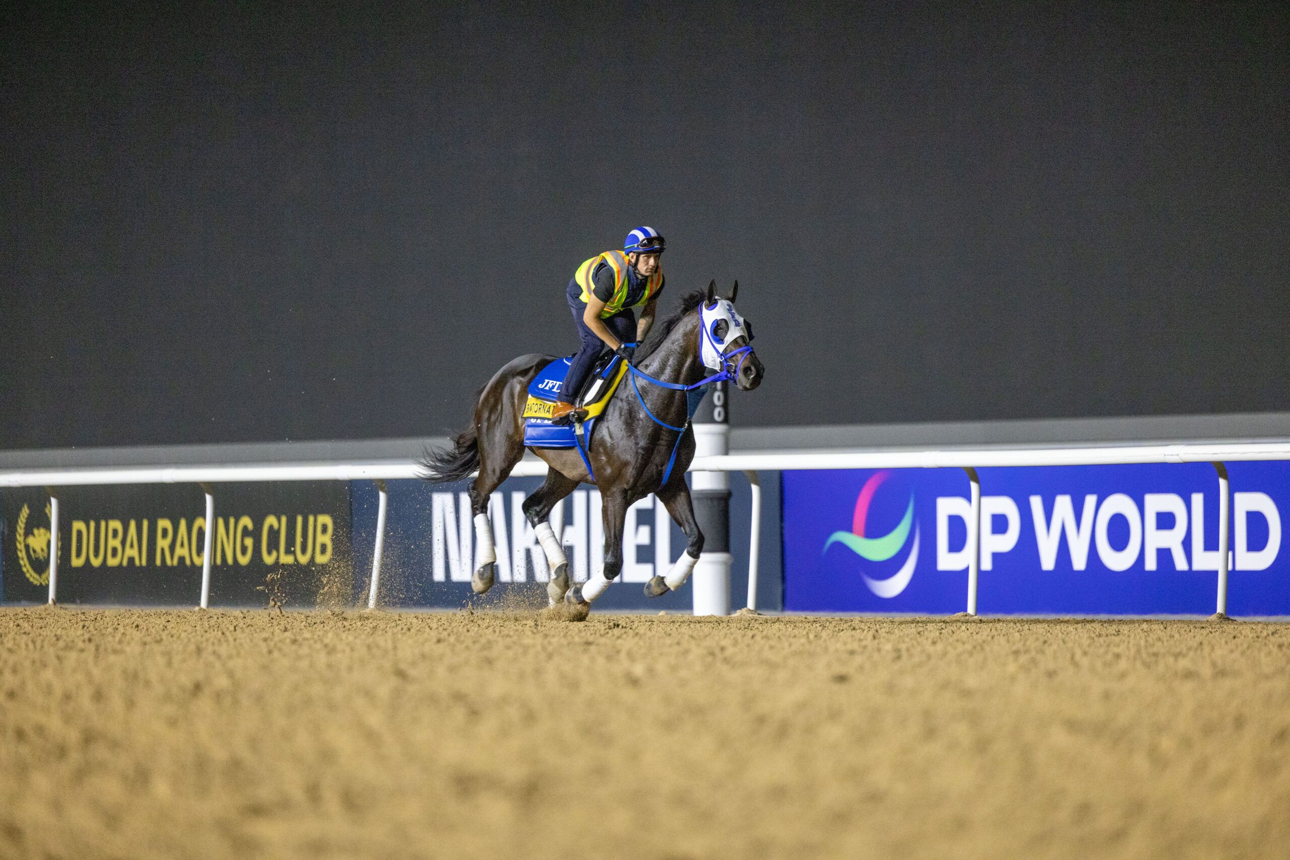 Dubai World Cup 2026 Track Work Images , March 23, 2026