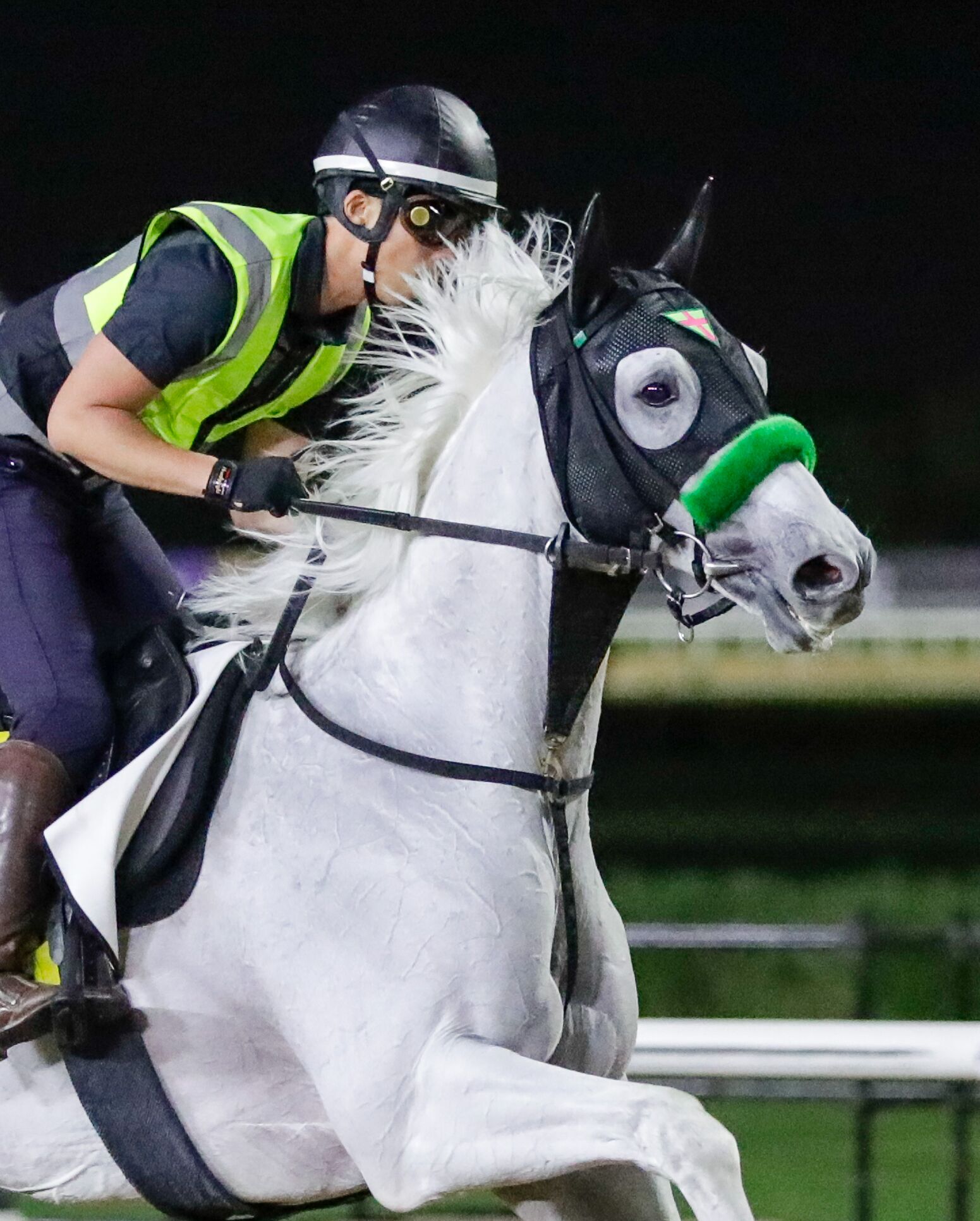 Dubai World Cup 2026 Track Work Images , March 23, 2026