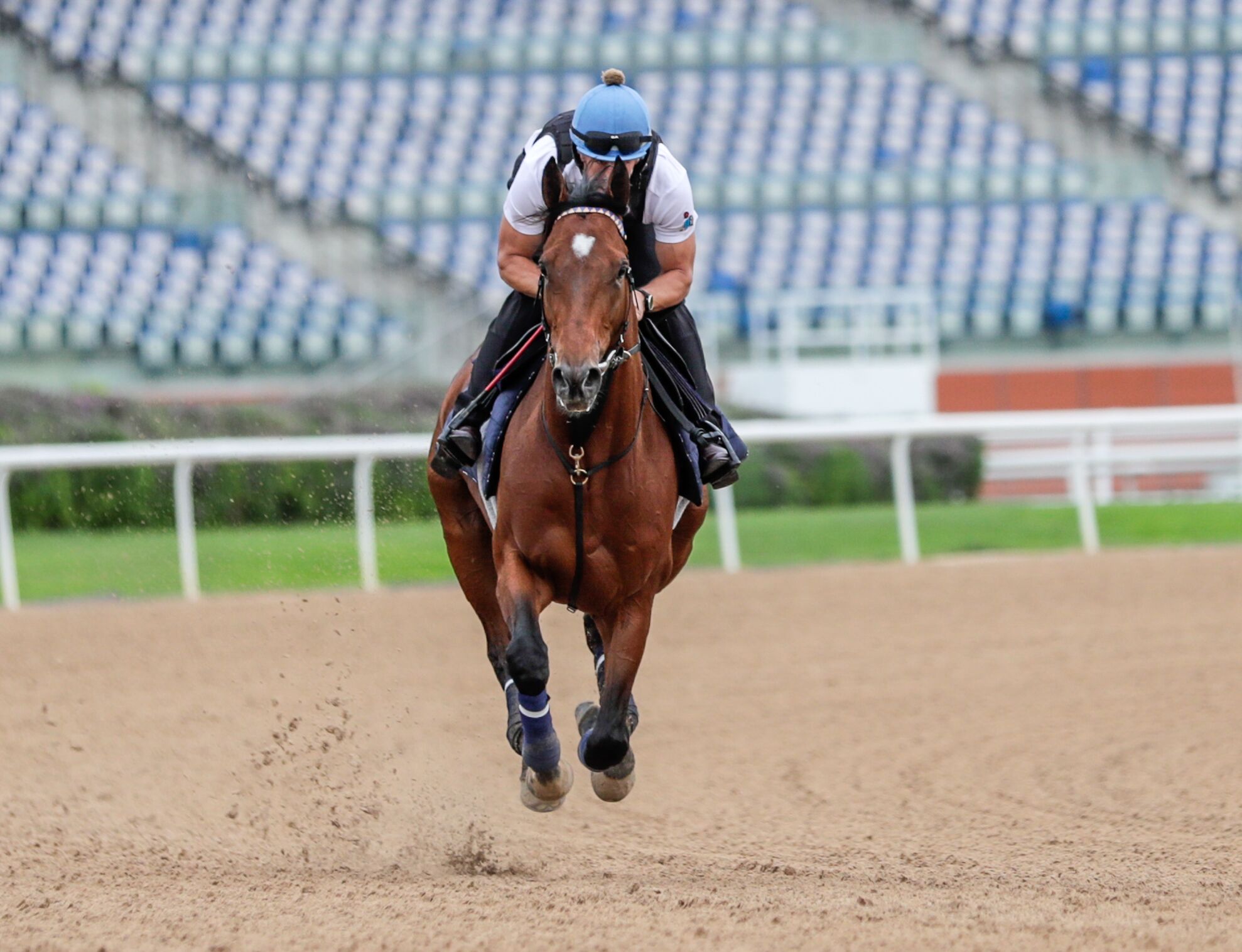 Dubai World Cup 2026 Track Work Images , March 23, 2026