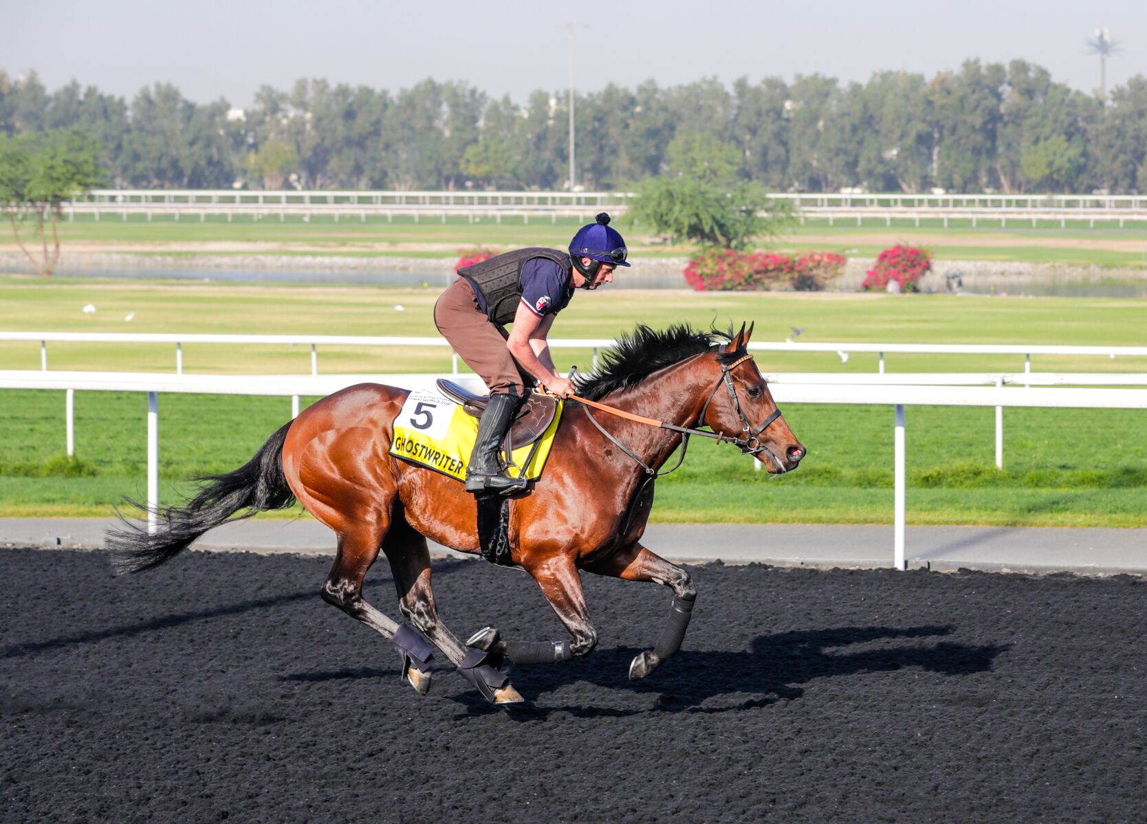 Dubai World Cup 2025 Track Work Images , April 03, 2025 | Dubai Racing Club