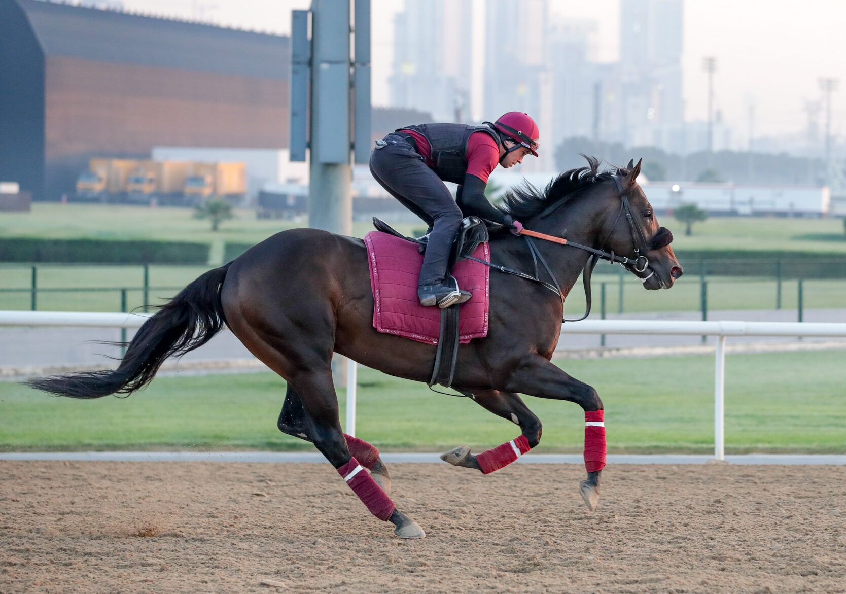 Dubai World Cup 2025 Track Work Images , April 03, 2025 | Dubai Racing Club